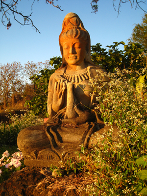 teachings – vipassanametta.org